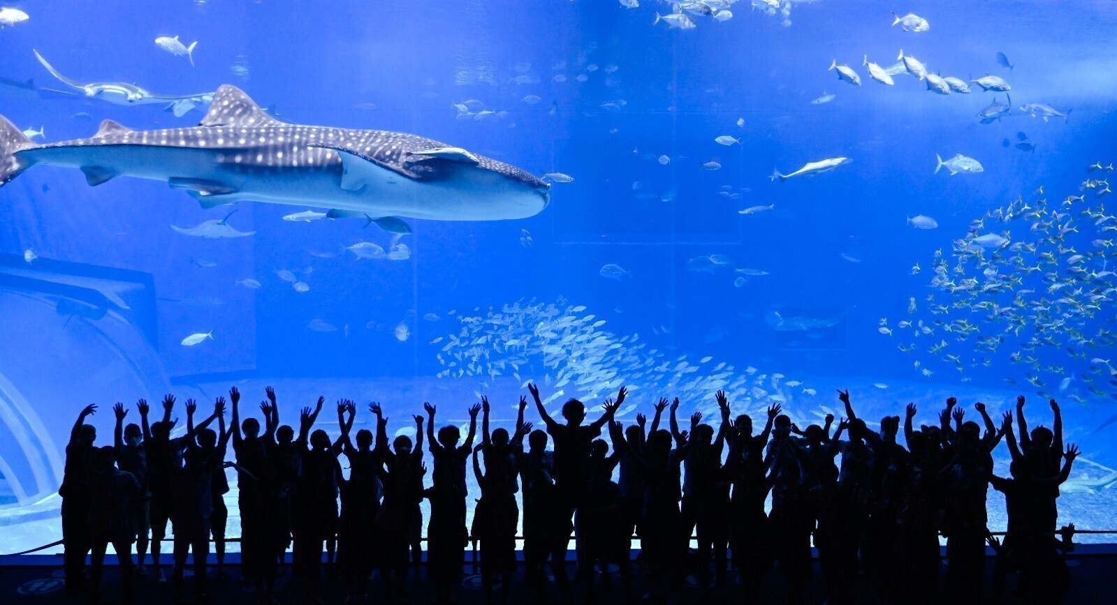 株式会社enechainの概要・採用情報｜YOUTRUST